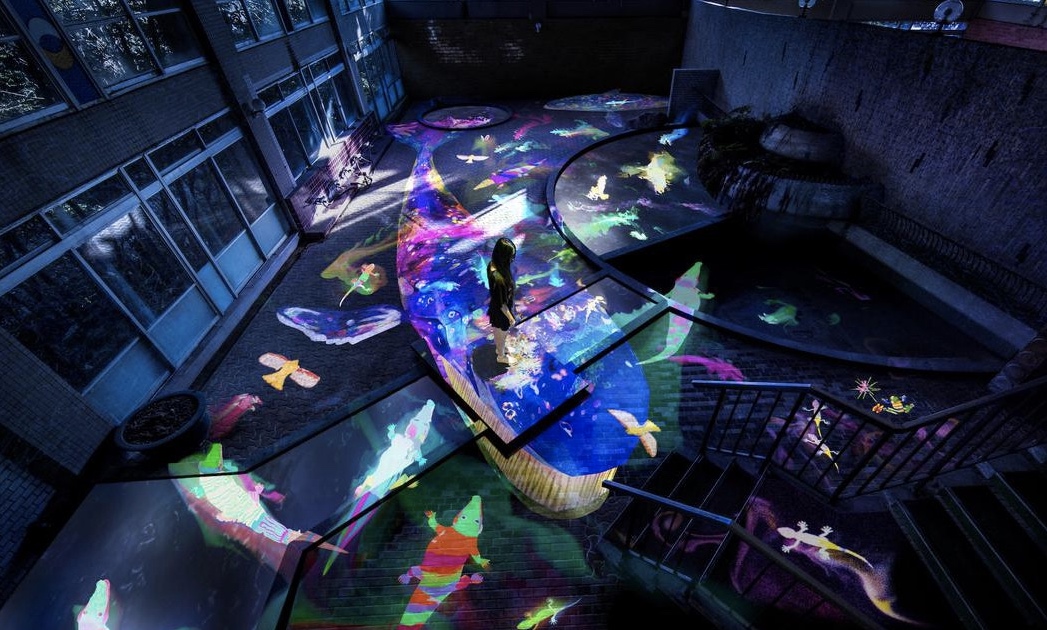 光影幻境！ teamLab 绚丽灯光装置登陆日本 – NOWRE现客