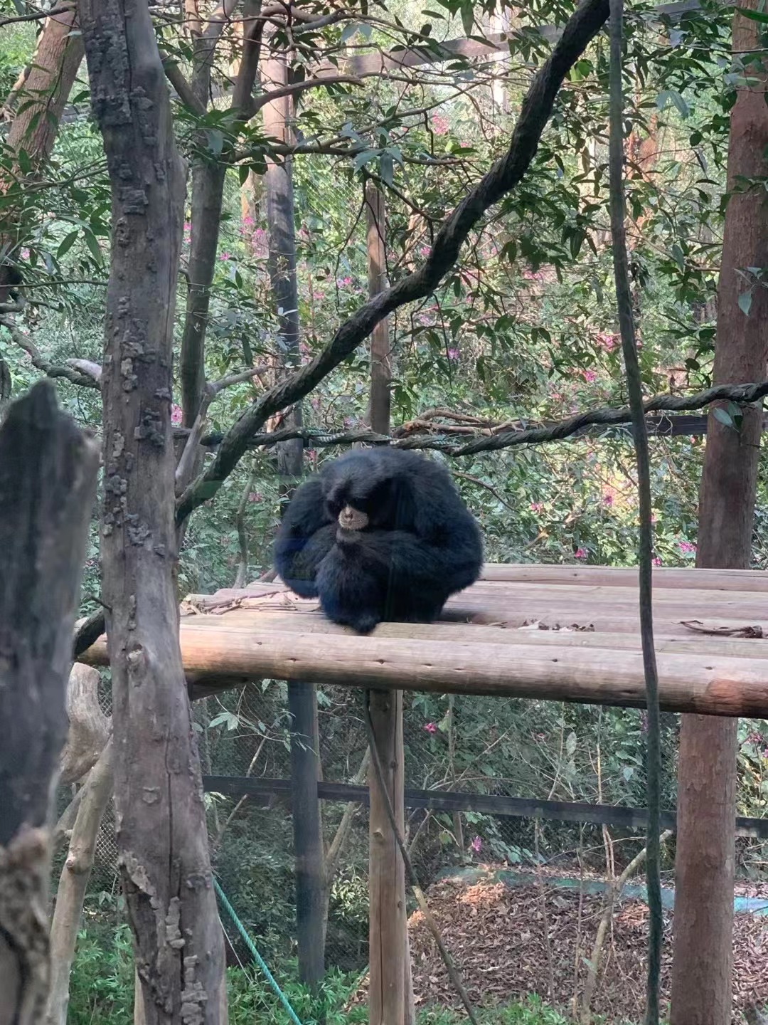 GALI：不想只待在擅长的音乐风格里，新专合作蛮多｜MOMENTS CHECK – NOWRE现客